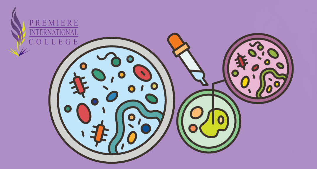 Microbiology and Lab | PICollege Learning
